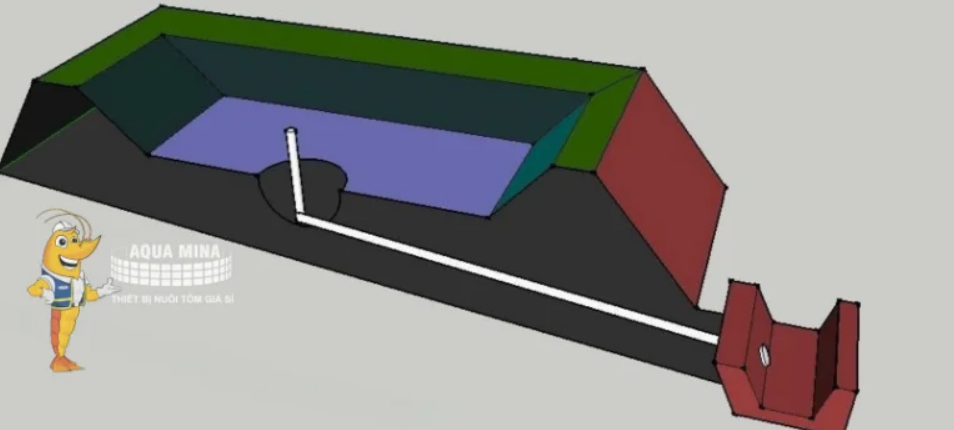 Sử dụng hố siphon hiệu quả nuôi tôm thẻ thâm canh công nghệ cao và siêu ...