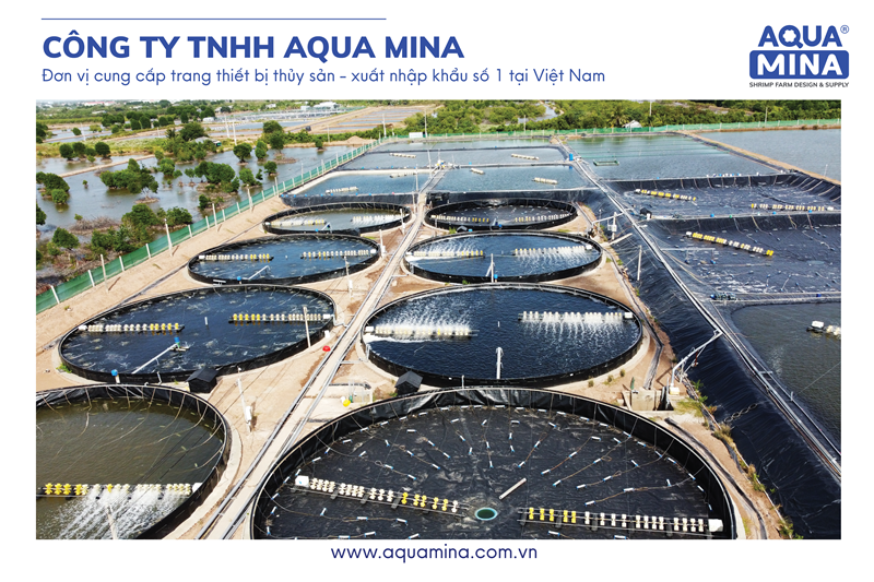 Aqua Mina: 10 năm đồng hành người nuôi tôm Việt – Đón đầu xu hướng thổi ...